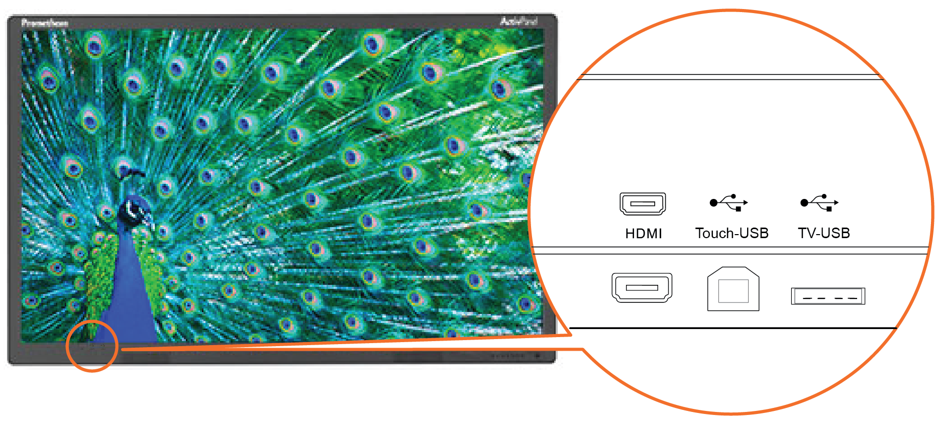 Which version of ActivPanel am I using?
