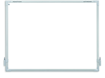 Which type of ActiVote do I have?