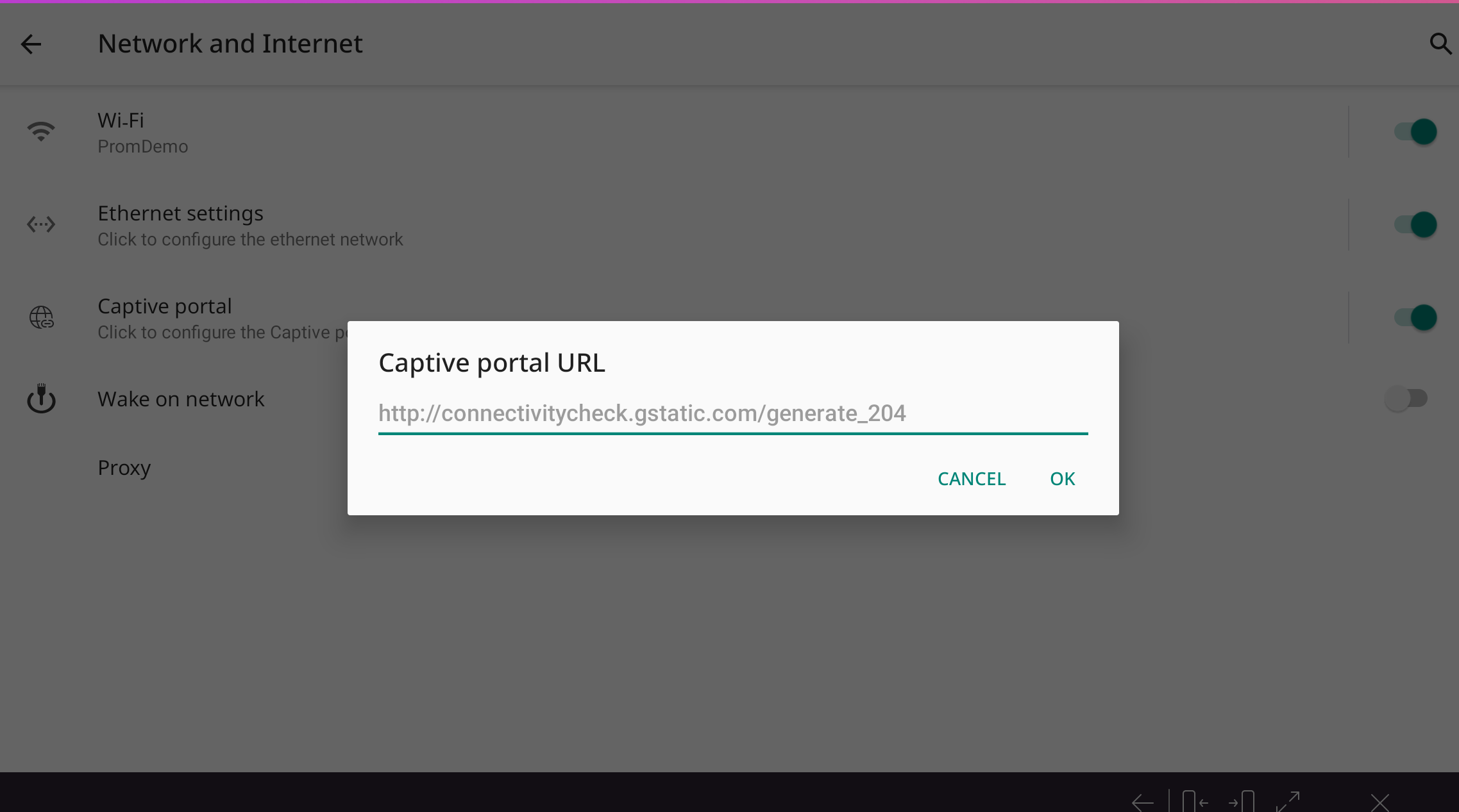 ActivPanel 9 DNS Configuration